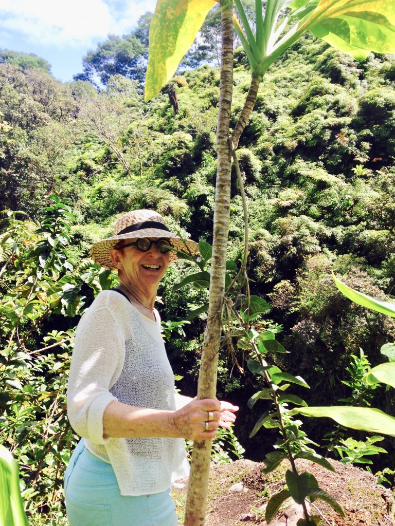 Be Bold + an interview with 80-year-old Terry Cohen to receive her #1 ...